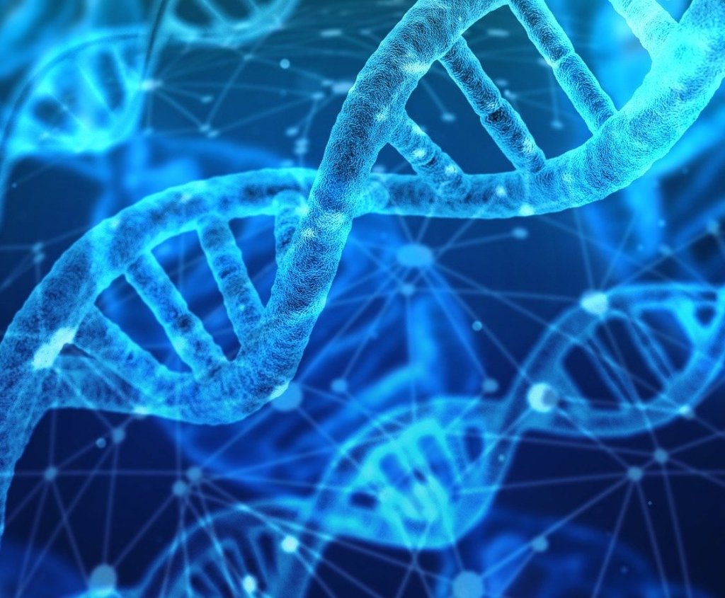 eGGi Molecular Detection – Winnoz Technology, Inc.